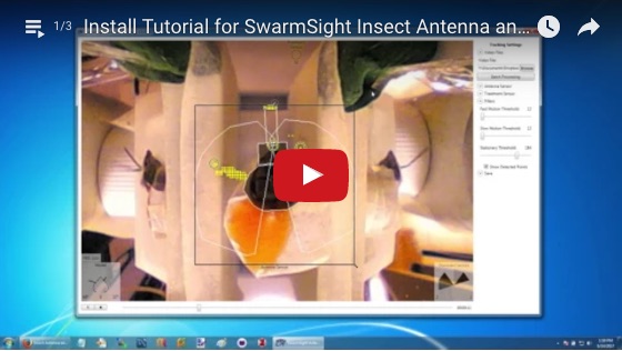 SwarmSight Antenna and Proboscis Extension Reflex Tracking Software